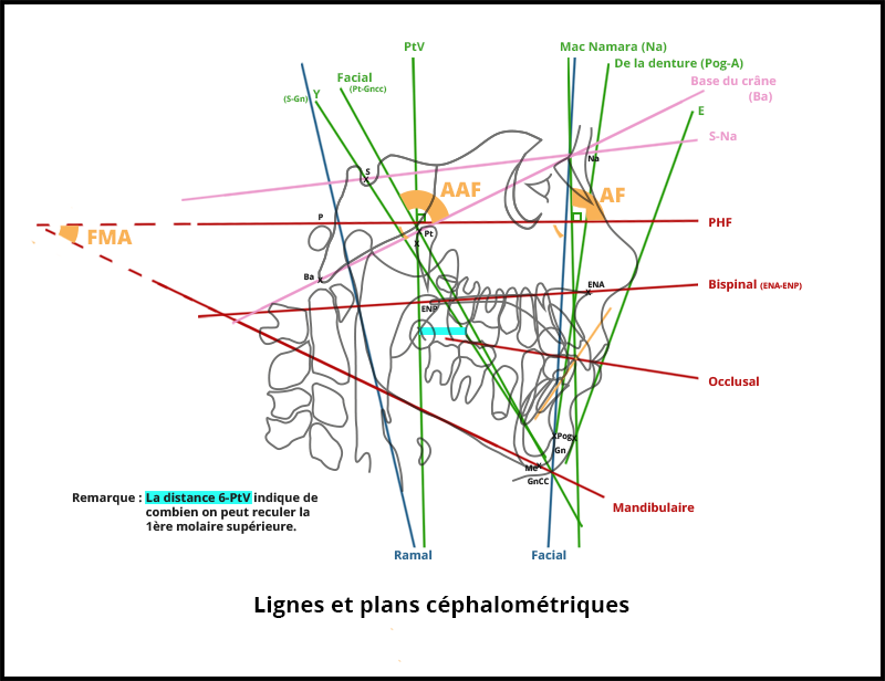 Points - Lignes - Plans - Cecsmo